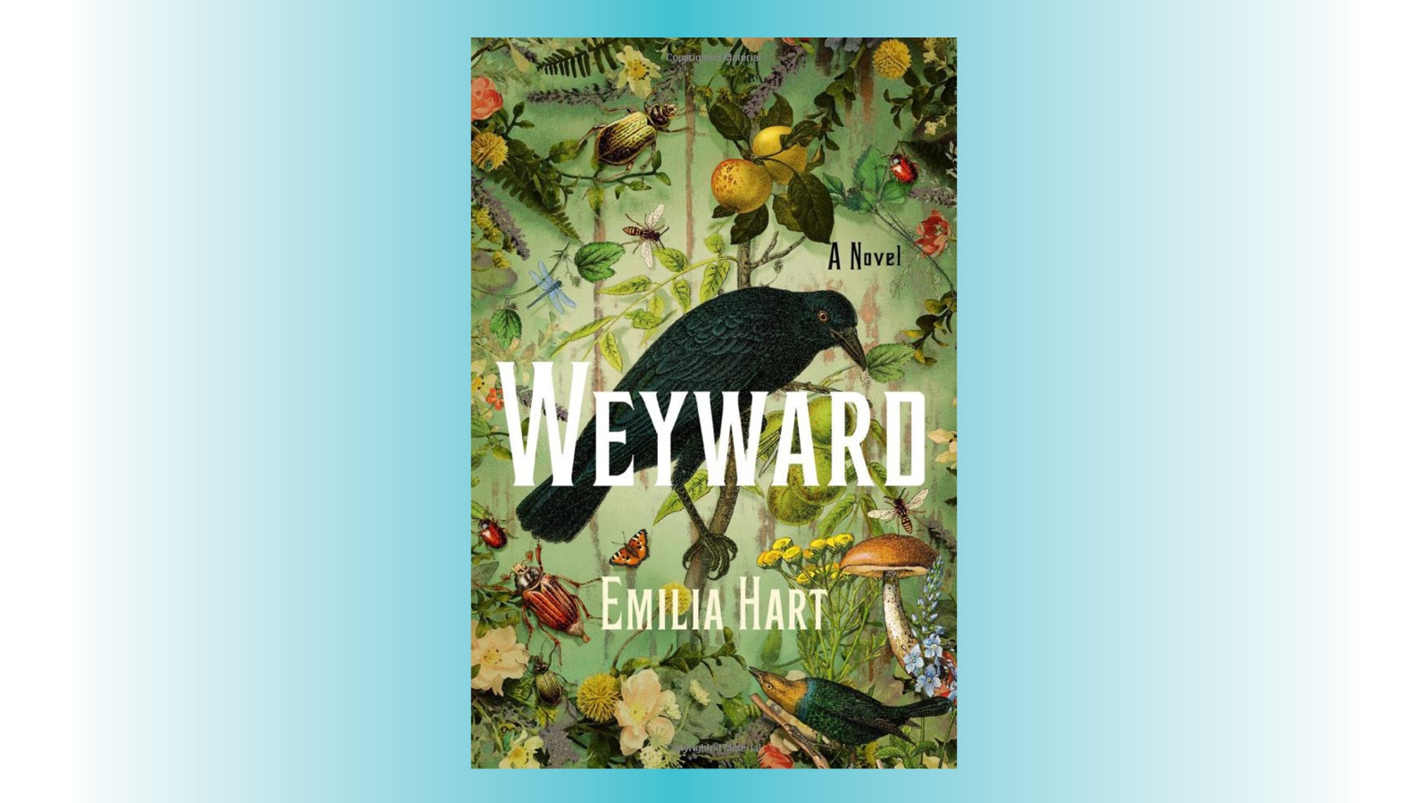 20 Best Books of 2023 So Far, According to Amazon Editors